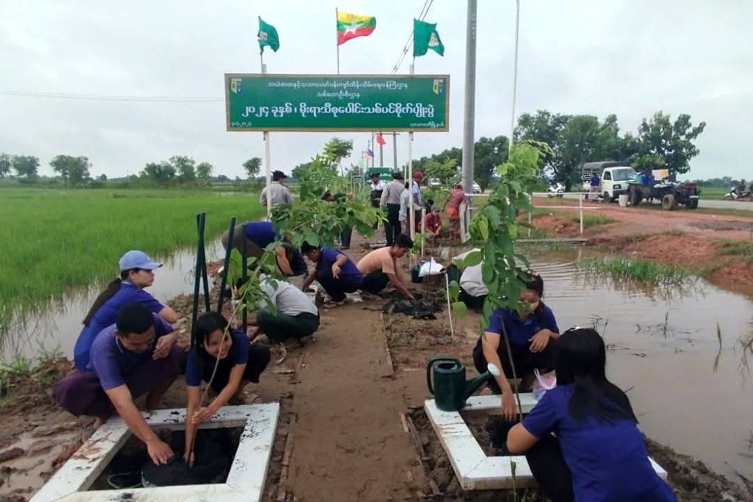 သစ်ပင်စိုက်ပျိုးခြင်း - Max Highway